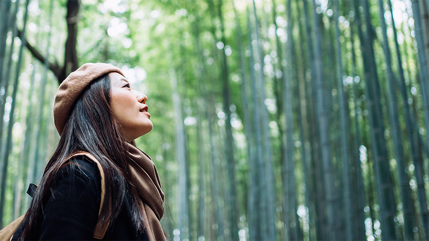 Case Study: Forest Stewardship Council - PwC